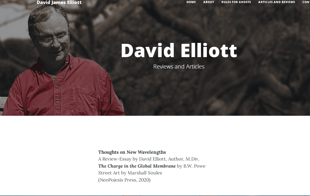 The Charge in the Global Membrane by B.W. Powe Reviewed by David ...